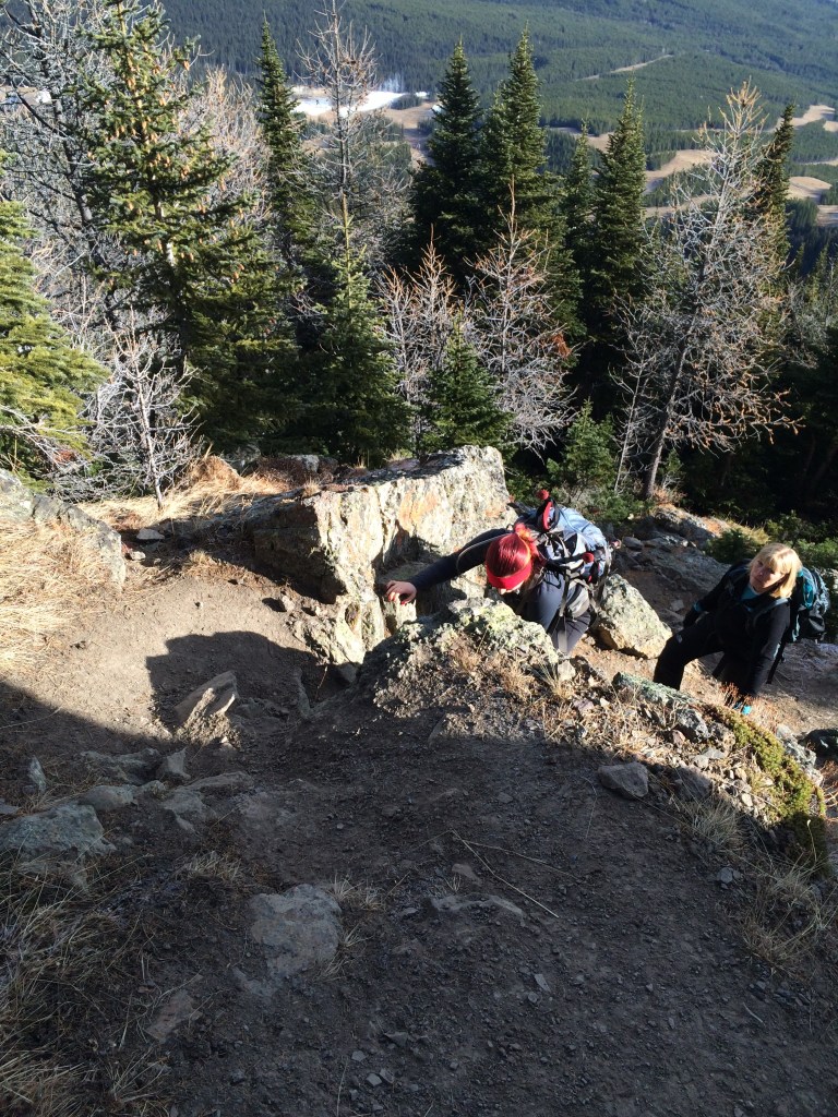 Mount Allan – Olympic Summit – Billy Goat Hiker