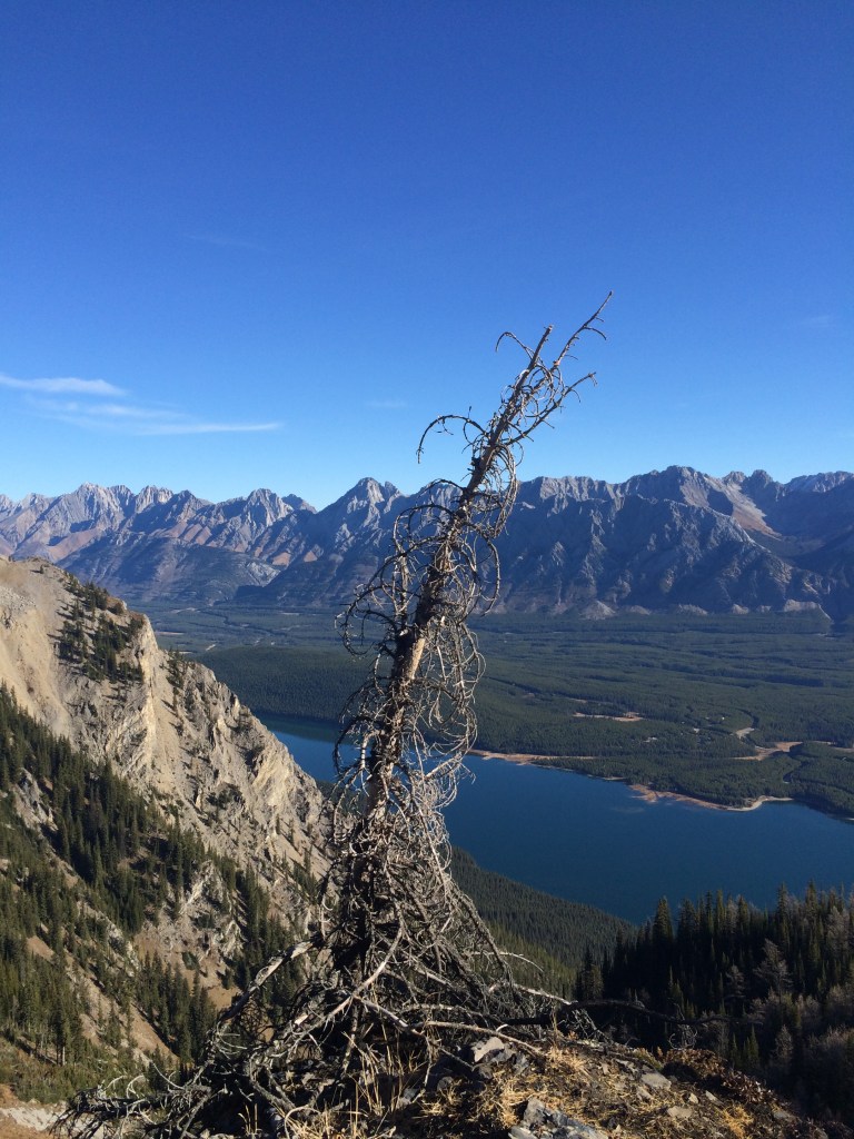 Mount Indefatigable – Billy Goat Hiker
